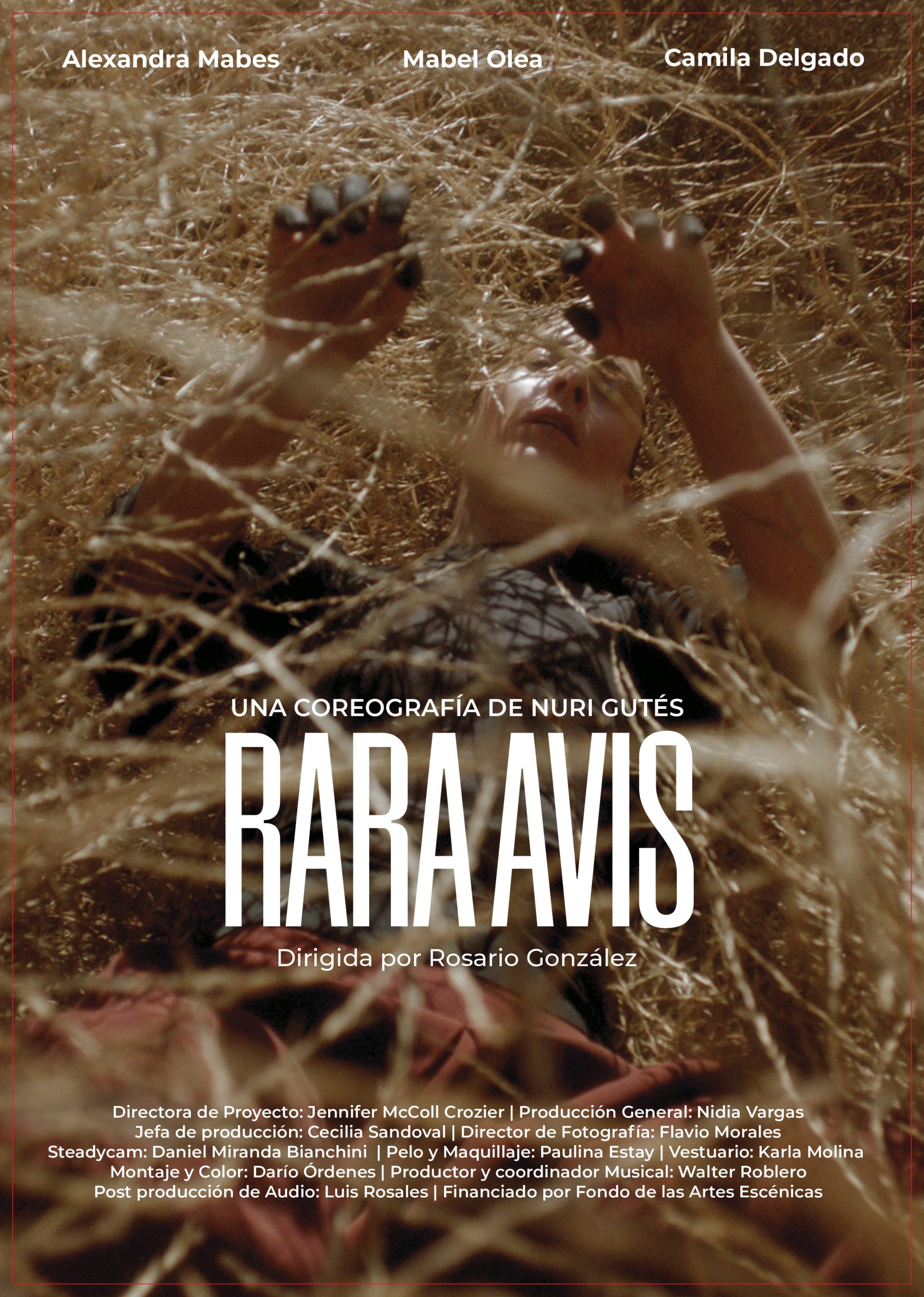 Rara Avis « Rosario González
